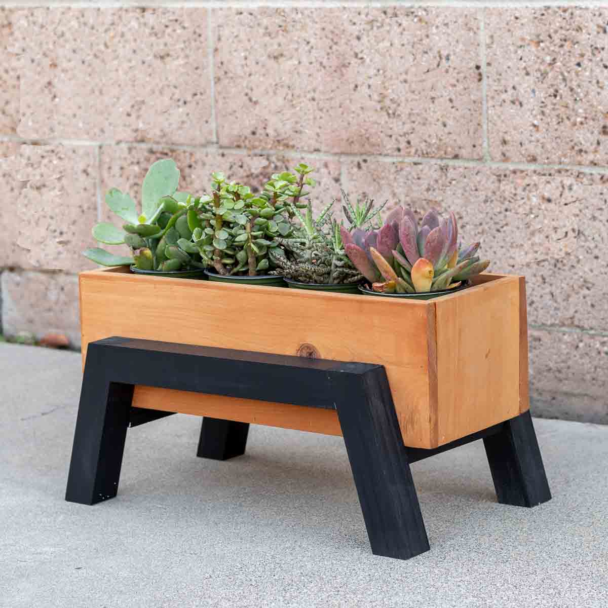 Modern DIY Small Wood Planter - DIY Designs By Anika